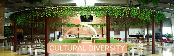 Career | BlueStone.com